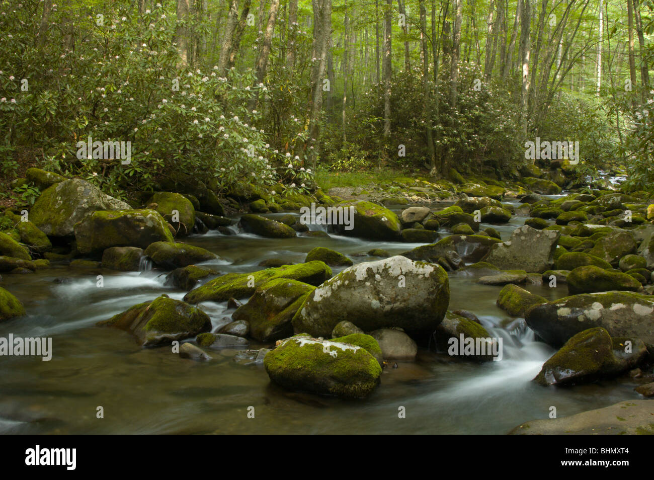 Rushing mountain streams hi-res stock photography and images - Alamy