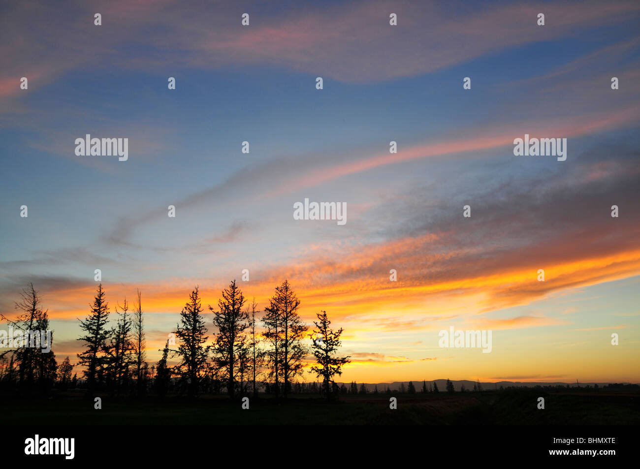 Vivid sunset over a forest Stock Photo - Alamy