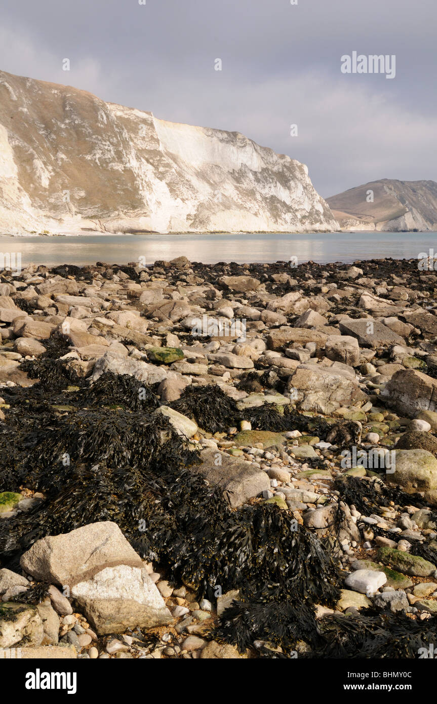 Mupe Bay Dorset England UK Stock Photo - Alamy
