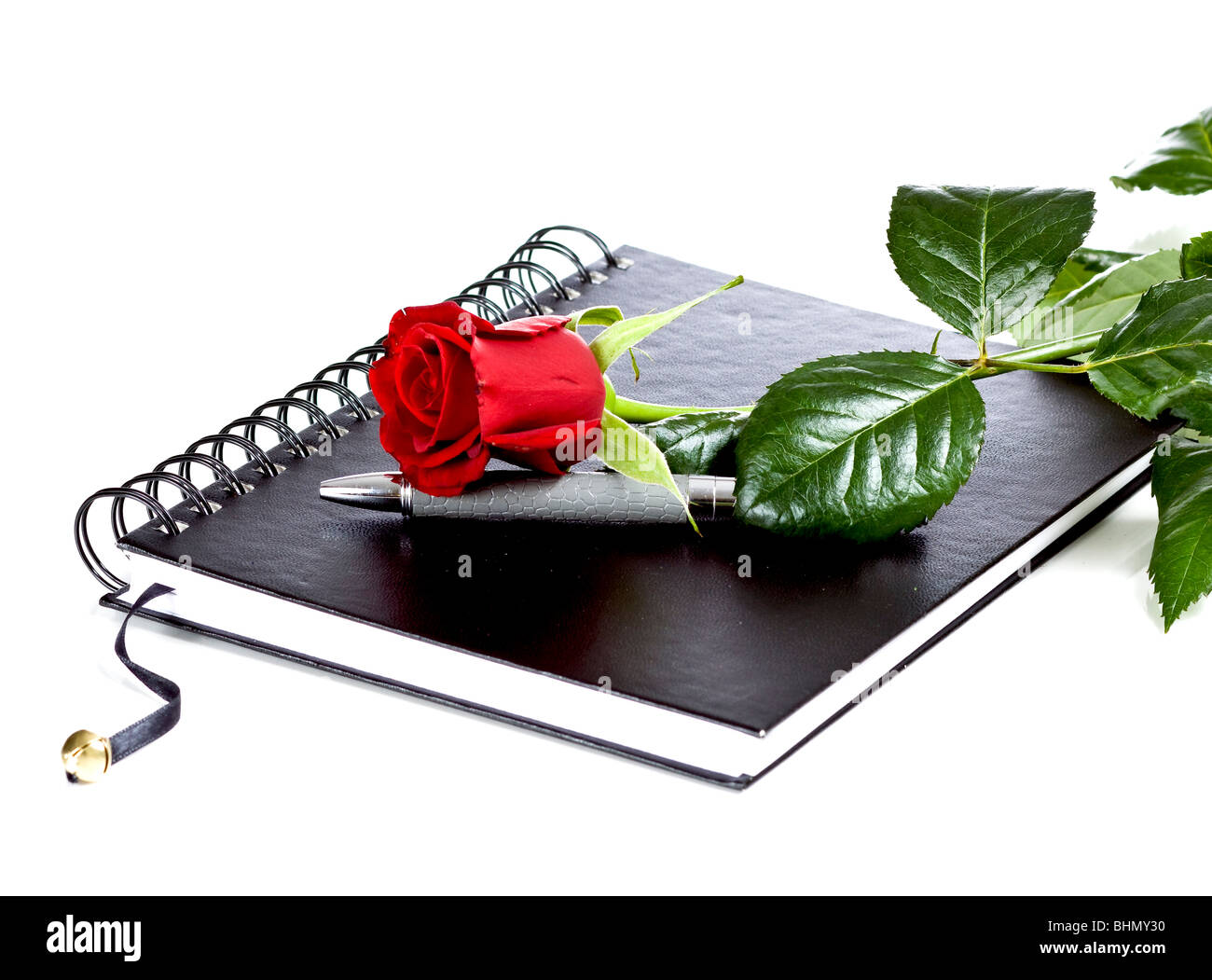 Red rose on the notebook, isolated on white background Stock Photo - Alamy