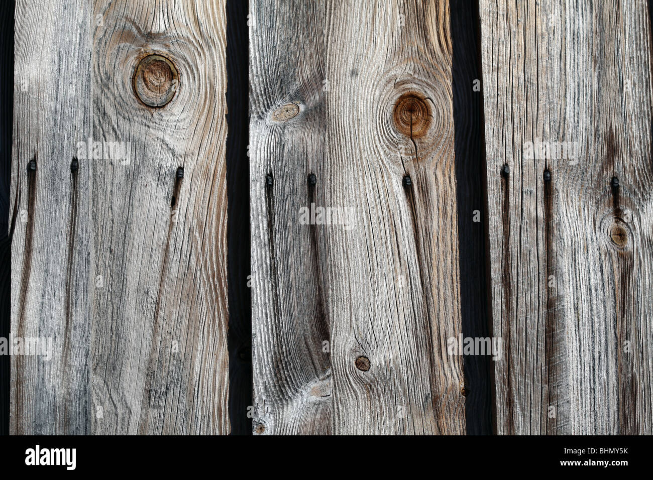 Forest of birse hi-res stock photography and images - Alamy