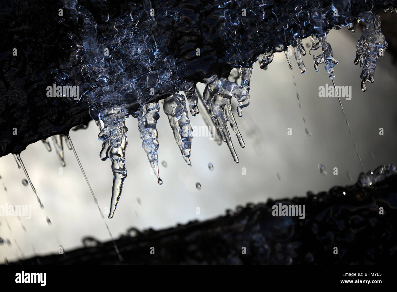 Icicles - Forest of Birse - Strachan - Scotland - UK Stock Photo - Alamy