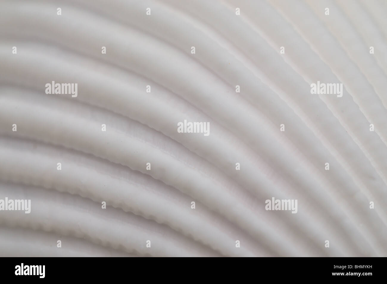 Clam shell hi-res stock photography and images - Alamy
