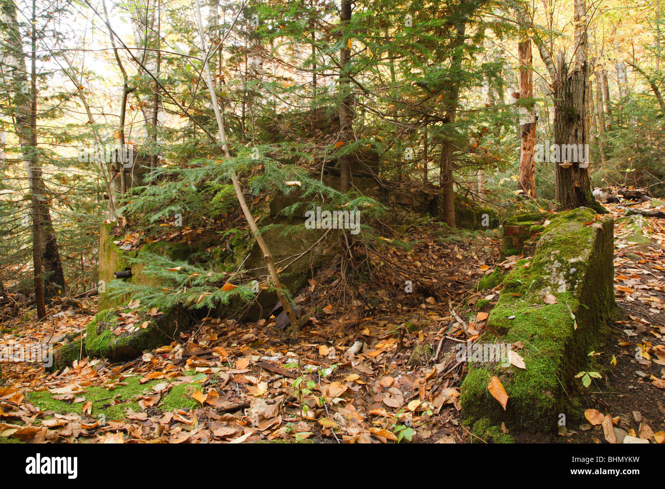 Nancy Brook Scenic Area - Remnants of "Lucy Mill" along Nancy Pond ...