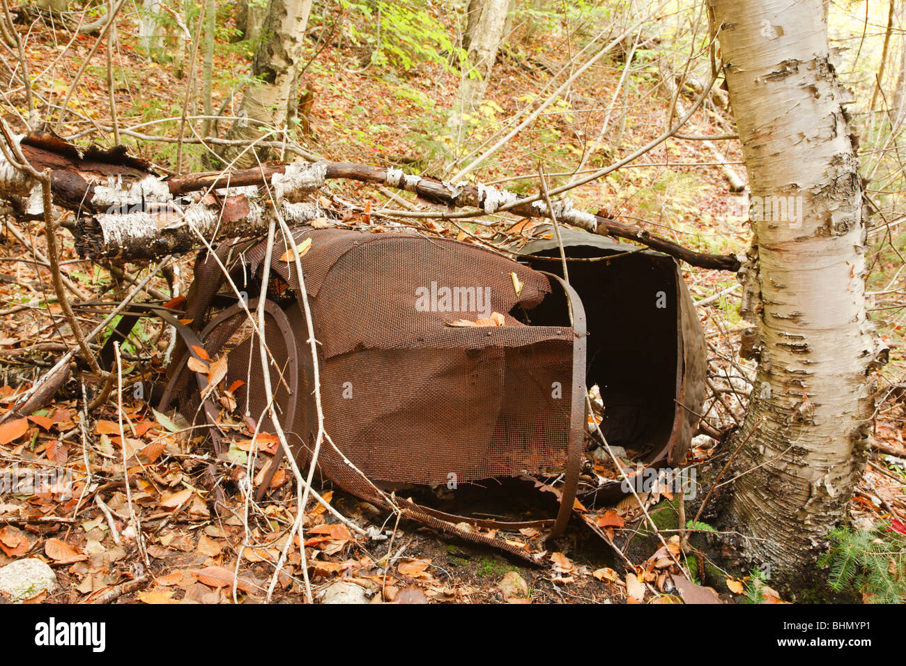 Nancy Brook Scenic Area - Remnants of "Lucy Mill" along Nancy Pond ...