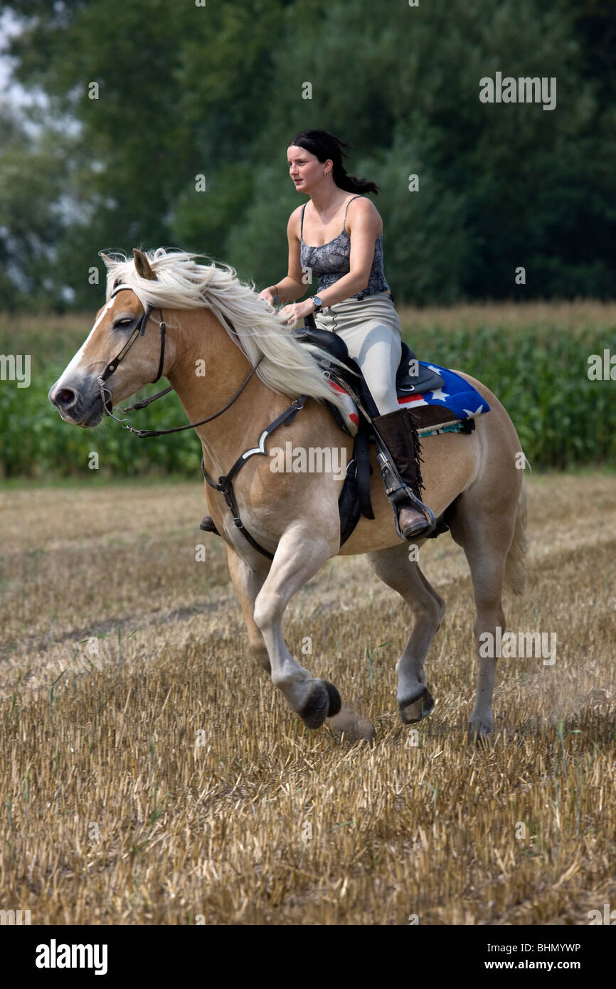 Girl riding a Haflinger / Avelignese horse (Equus caballus) in field ...