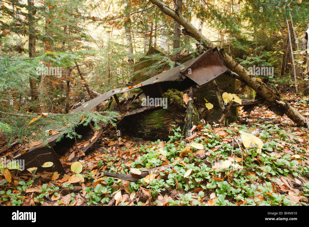 Nancy Brook Scenic Area - Remnants of "Lucy Mill" along Nancy Pond ...