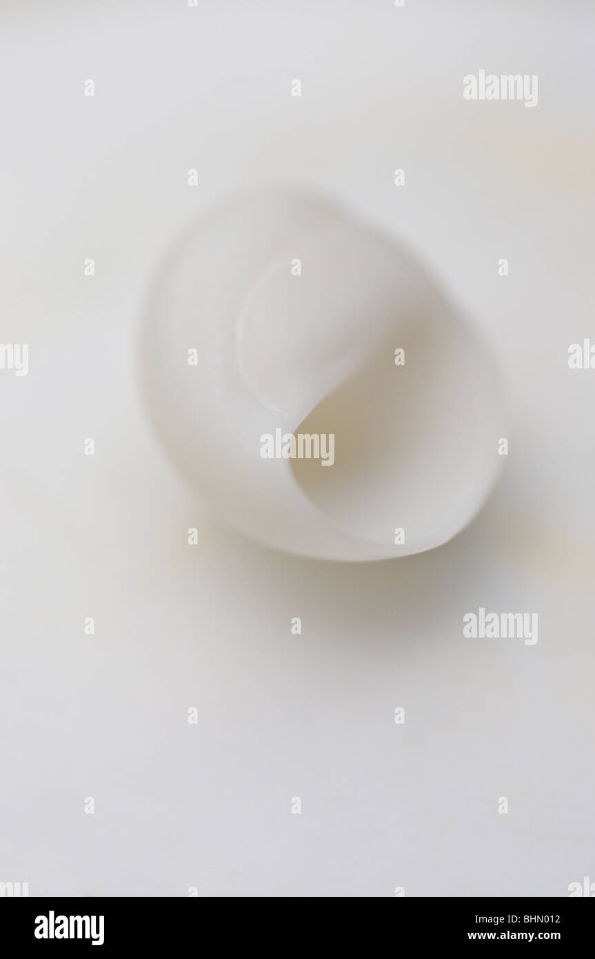 Smooth shell hi-res stock photography and images - Alamy