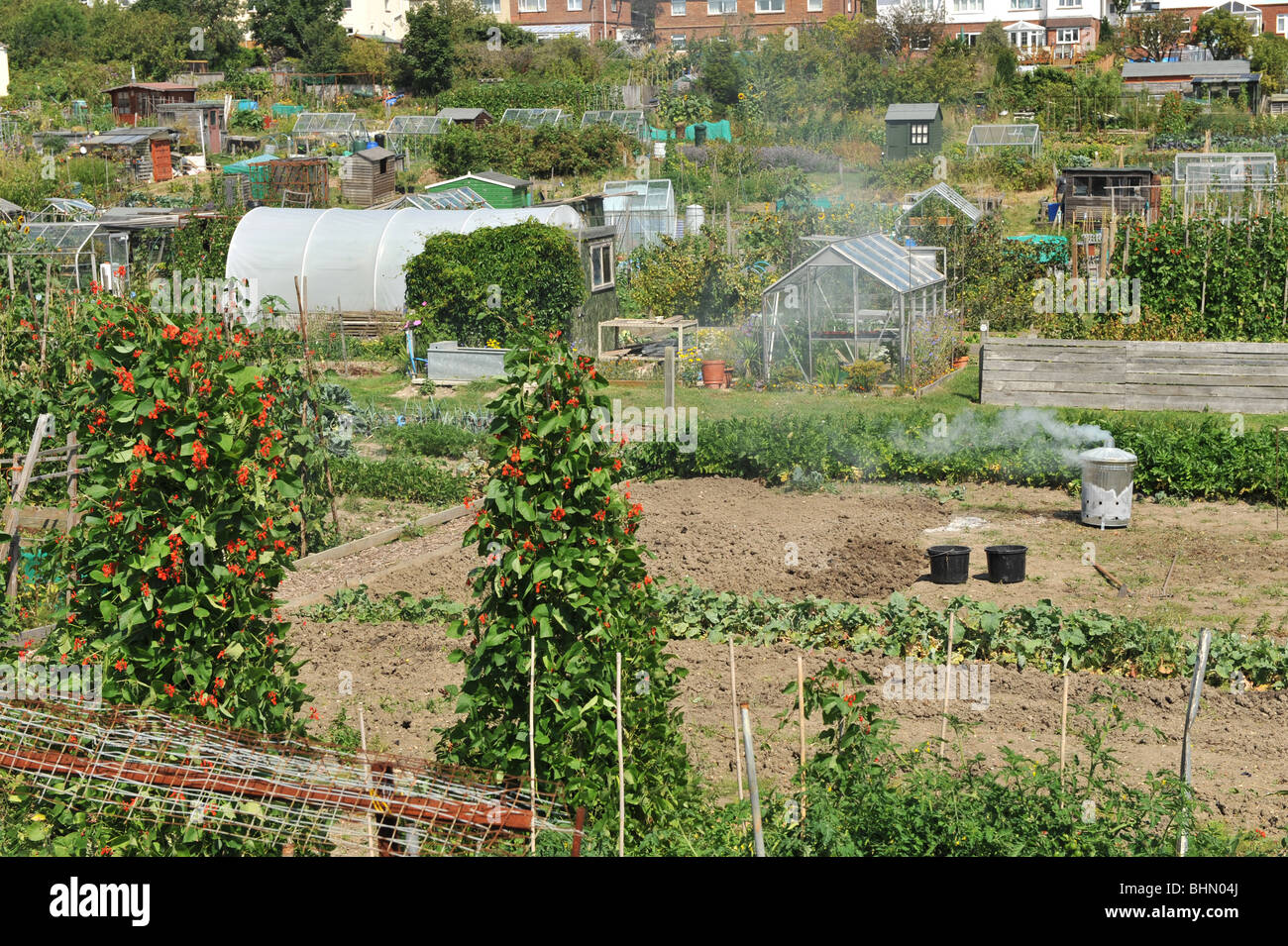 Allotment gardening uk hi-res stock photography and images - Alamy