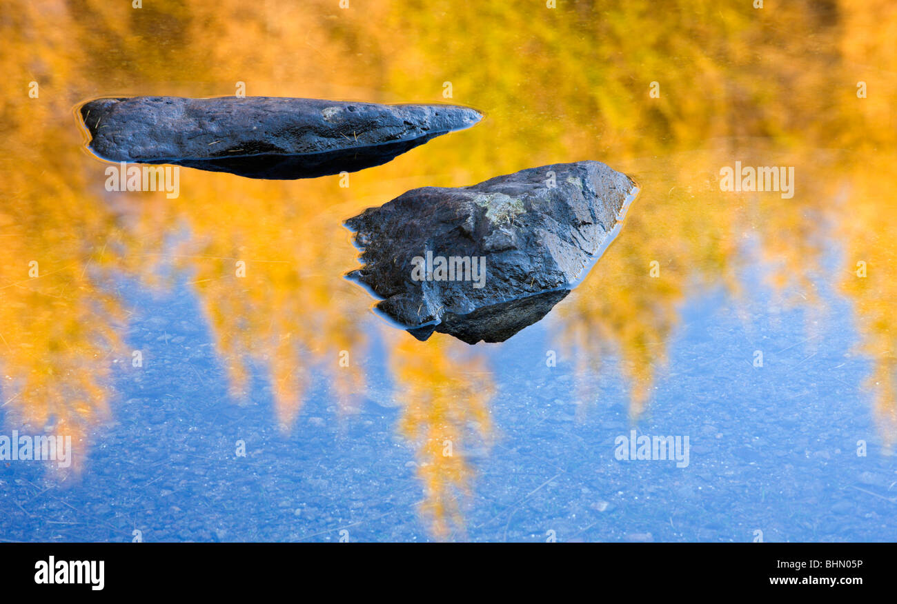 Reflections of autumn trees hi-res stock photography and images - Alamy
