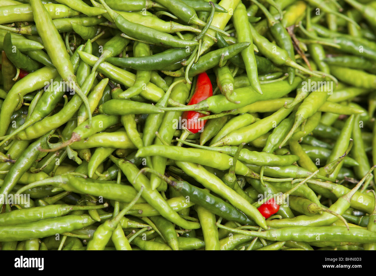 Green chilli's in a Indian market puttaparthi Stock Photo - Alamy