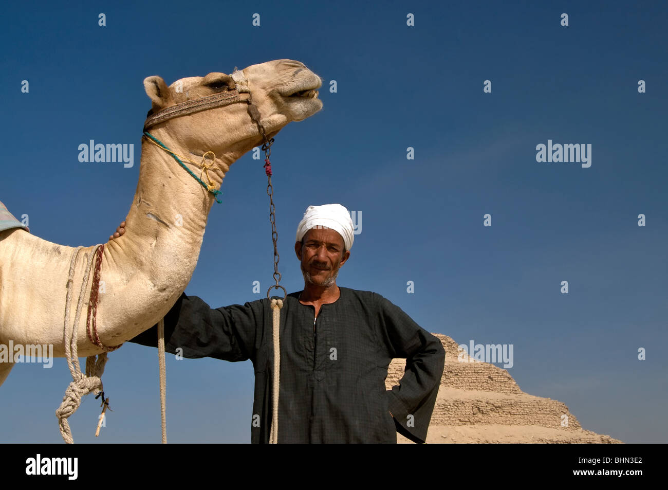 Proud Camel owner at Sakkara Stock Photo - Alamy