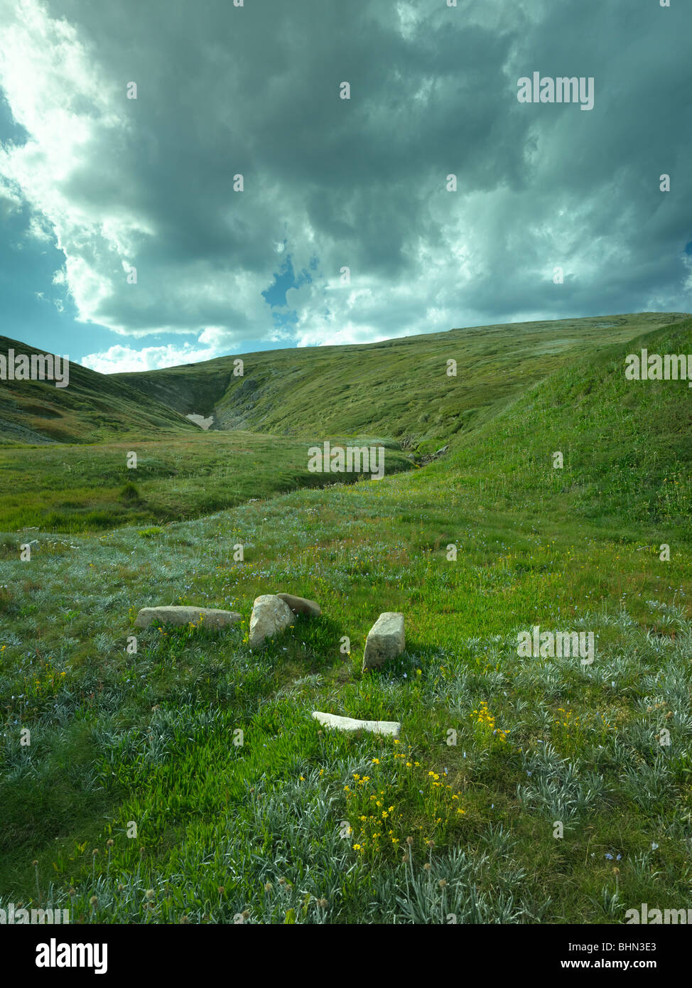 Bushwalking Nsw National Parks High Resolution Stock Photography and ...