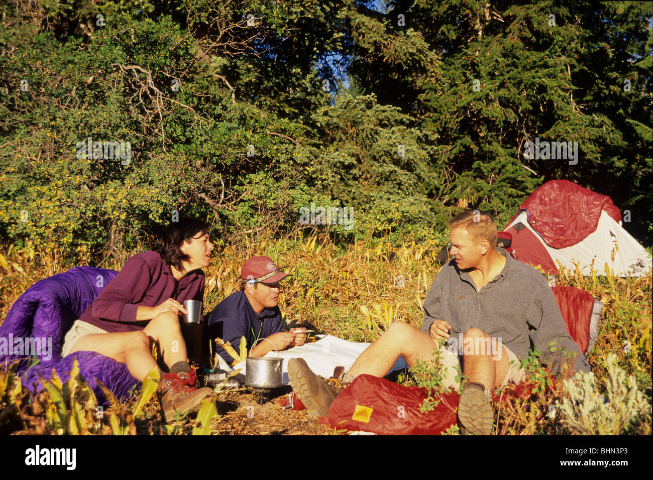 People camping and looking at map Stock Photo - Alamy