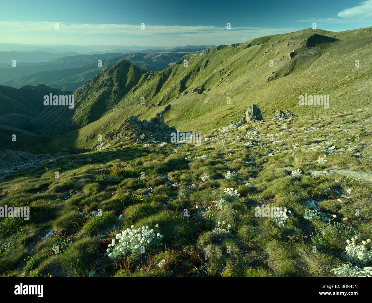 Gorge country nsw hi-res stock photography and images - Alamy