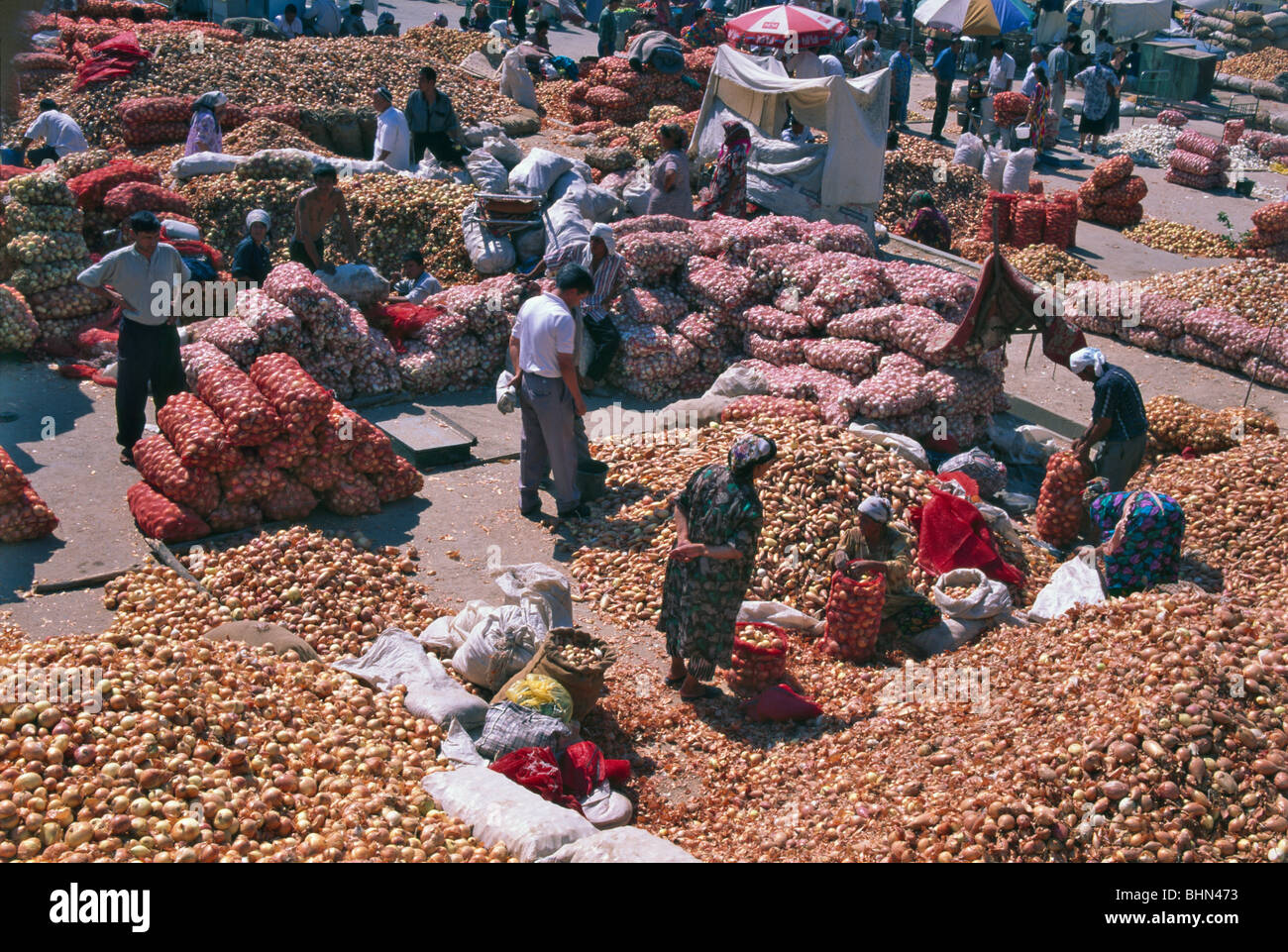 Selling garlic in Chorsu Bazaar, Tashkent, Uzbekistan Stock Photo - Alamy