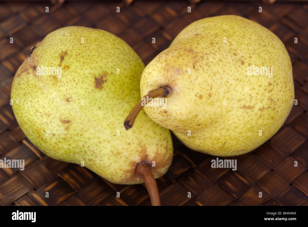 Bartlett pear pyrus communis hi-res stock photography and images - Alamy