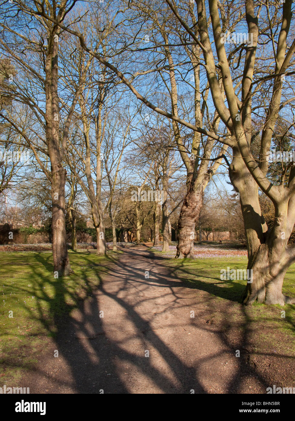 Cannizaro Park, London, SW19 Stock Photo - Alamy