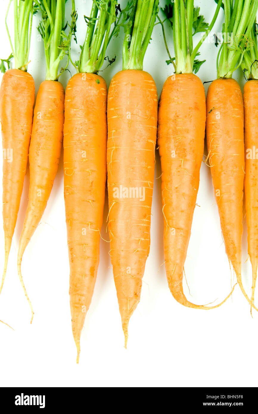 Bunch ripe fresh carrot Cut Out Stock Images & Pictures - Alamy