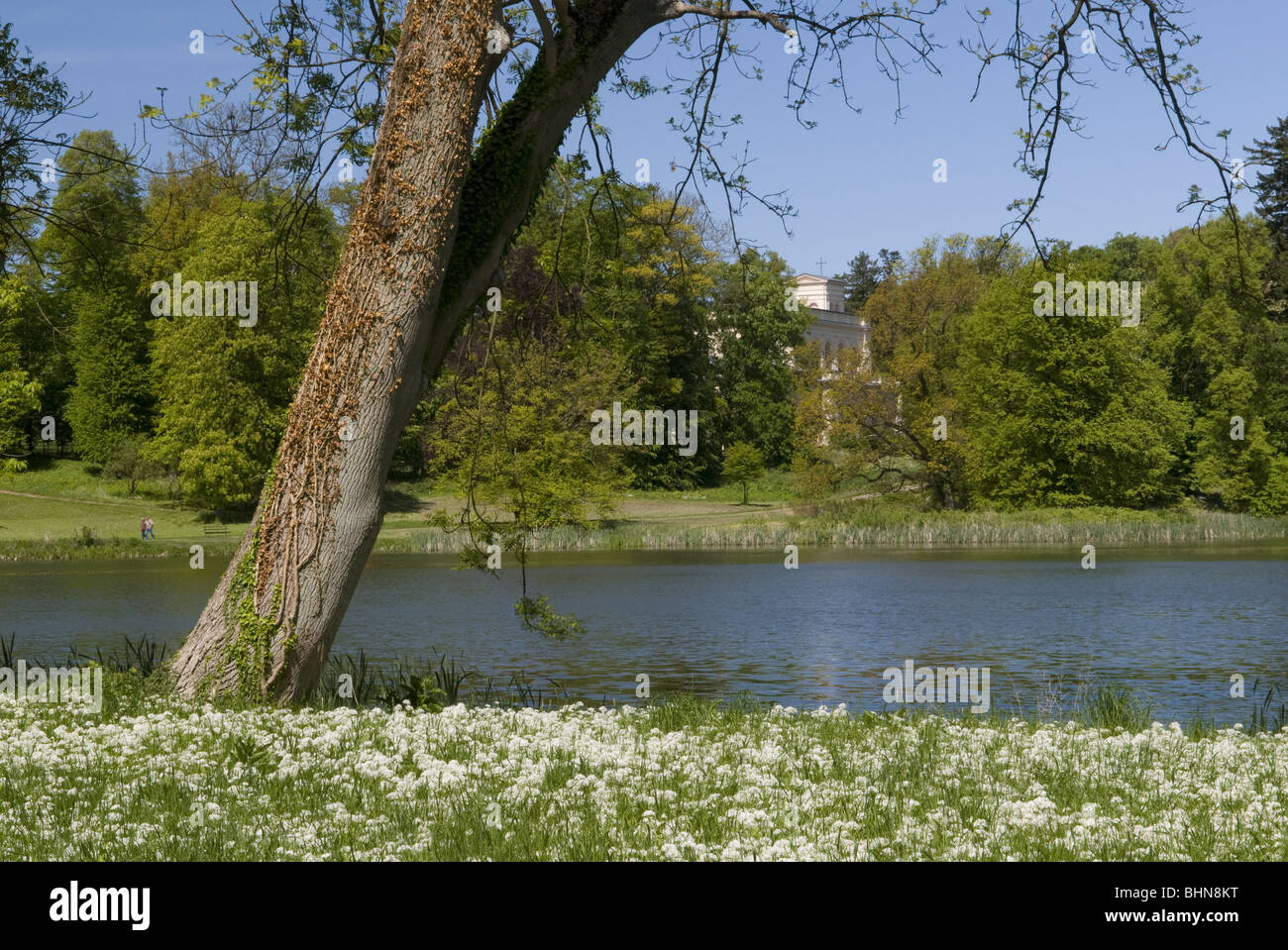 geography / travel, Germany, Mecklenburg-West Pomerania, Ruegen, Putbus ...