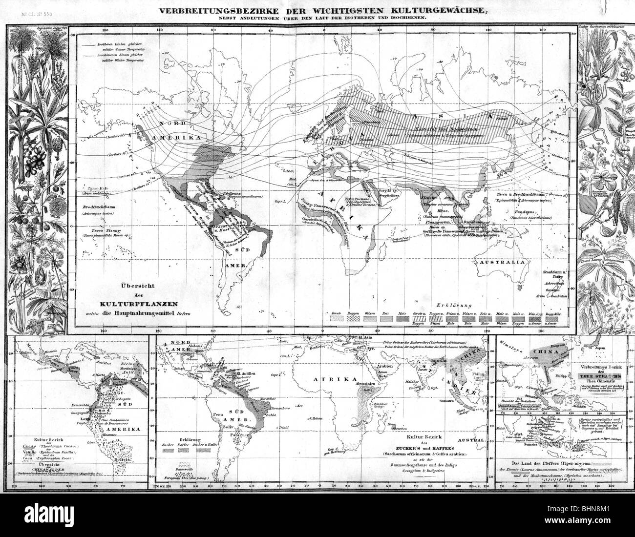 Plant corn Black and White Stock Photos & Images - Alamy