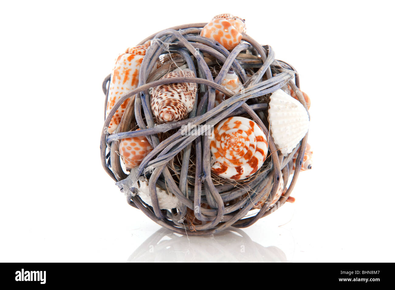 Searching for shells hi-res stock photography and images - Alamy