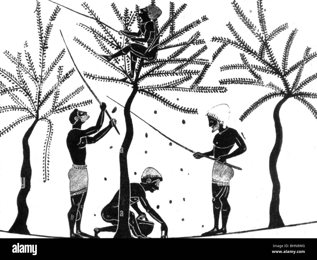 Ancient Greek Agriculture Ancient Greek Agriculture