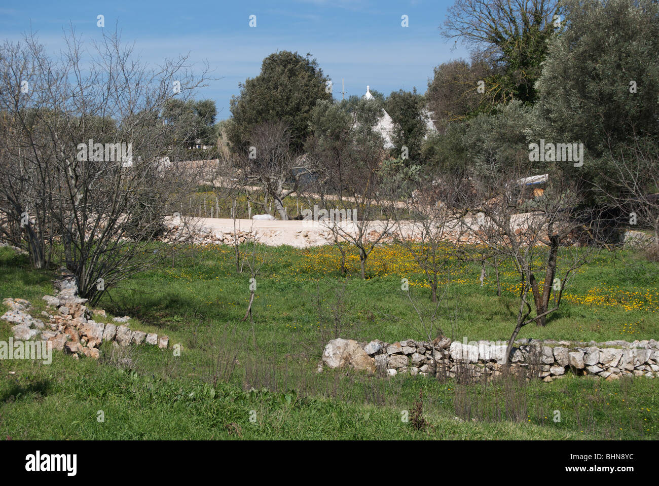 Puglian countryside scene in early Spring Stock Photo - Alamy