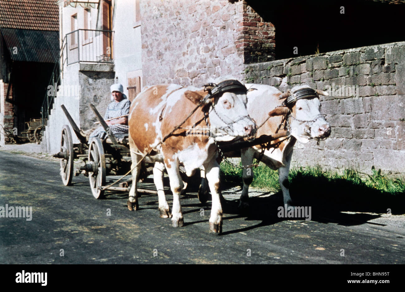 Cart 1970s hi-res stock photography and images - Alamy