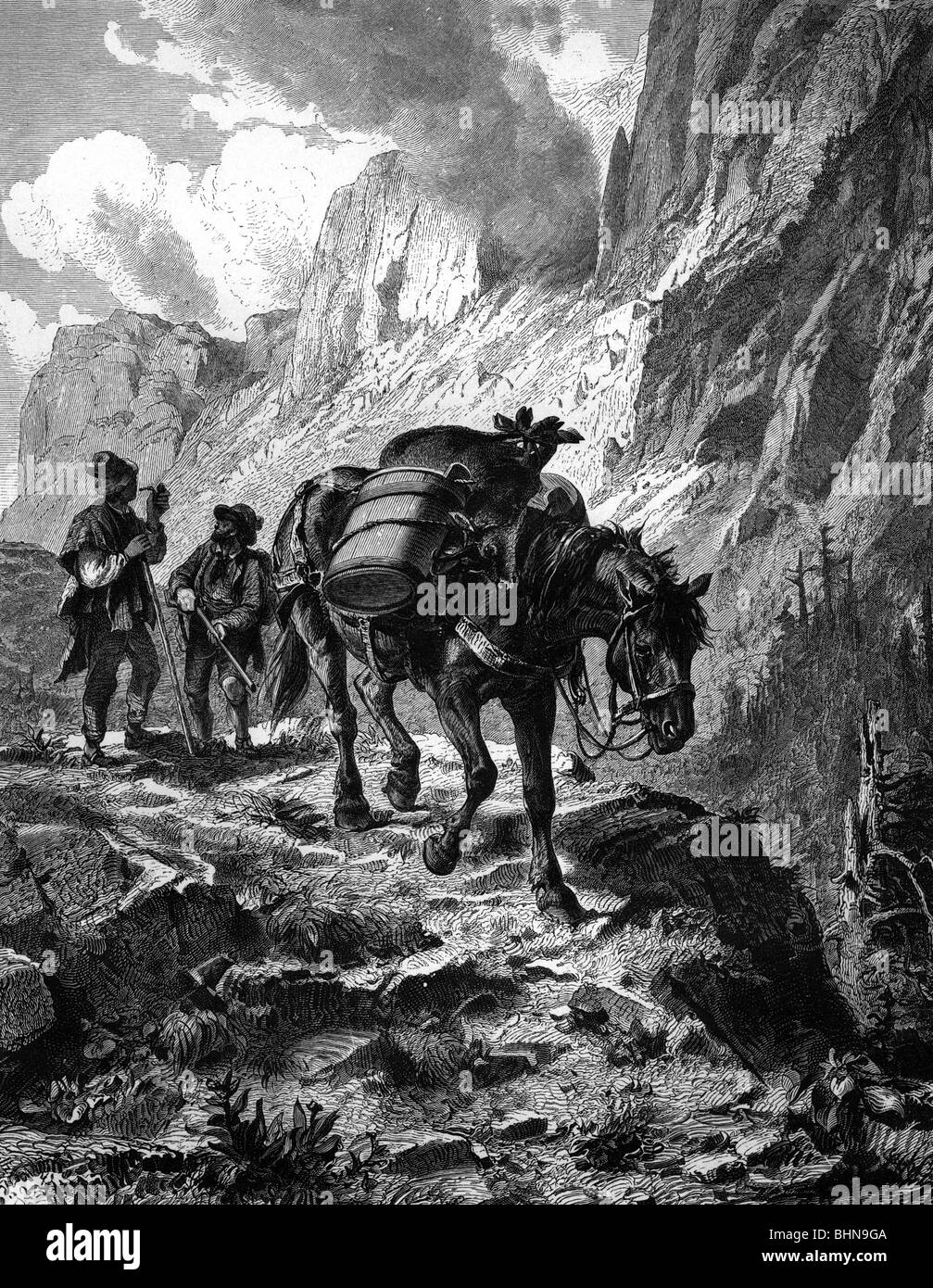 Beast of burden hi-res stock photography and images - Alamy