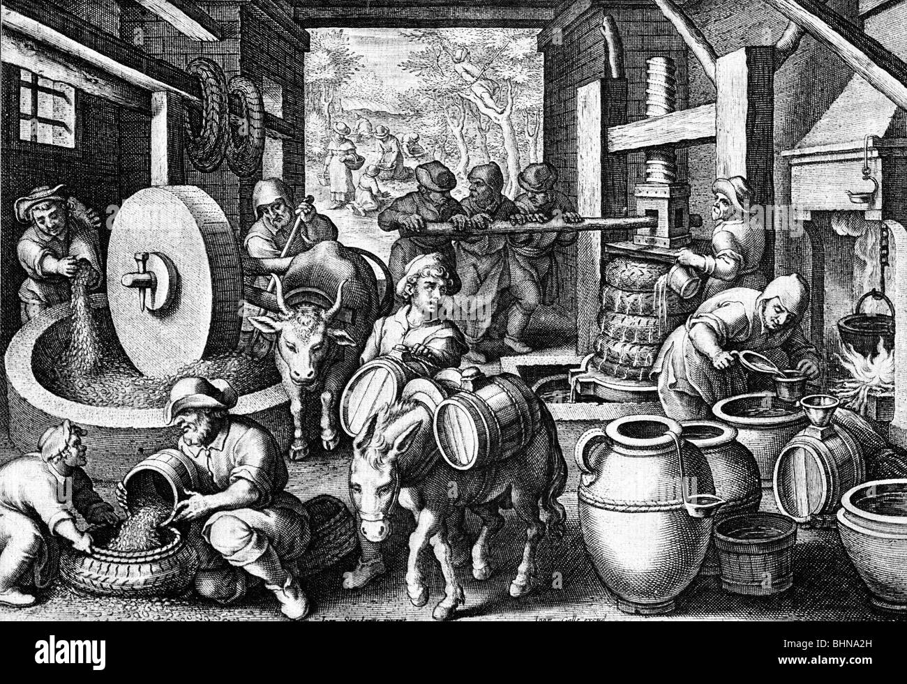 food, oil, olive oil, extraction of oil in oil mill and press, copper ...