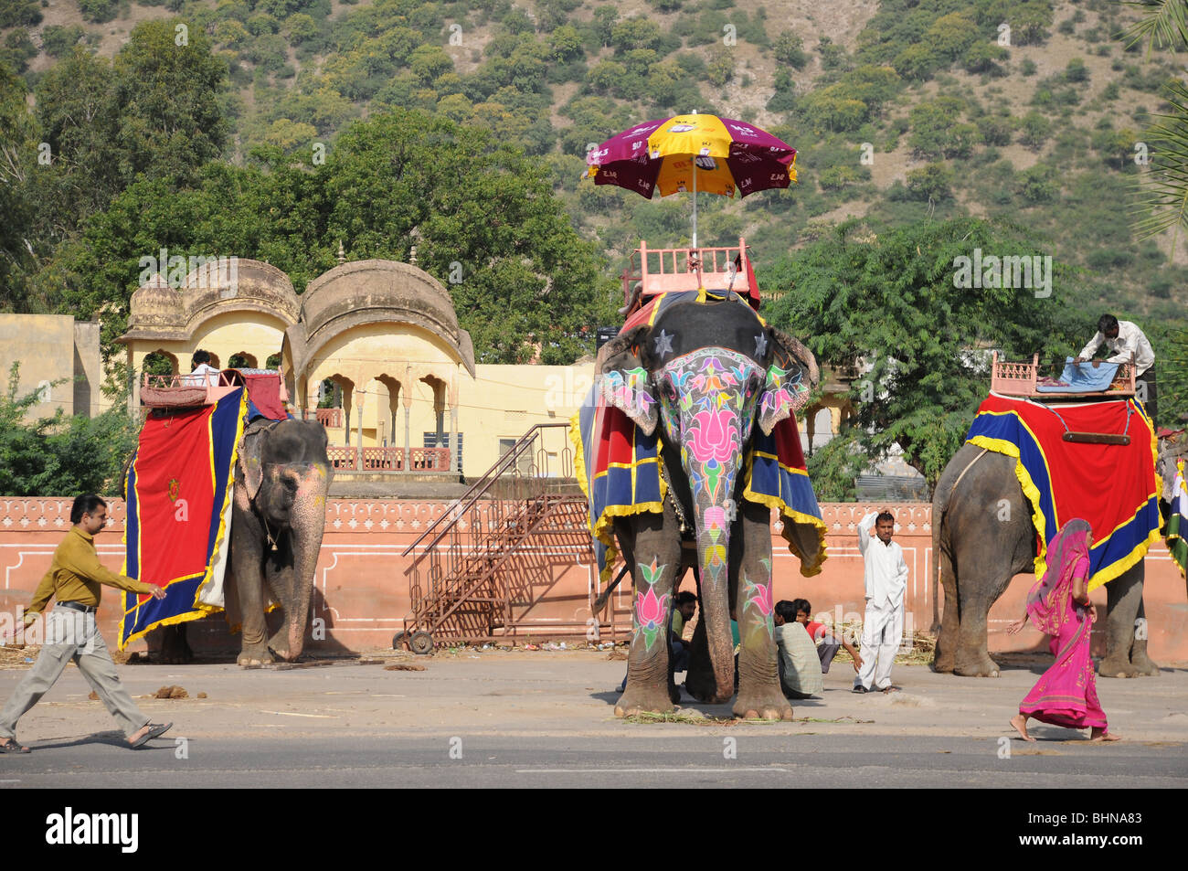 Elephant saddle hi-res stock photography and images - Alamy