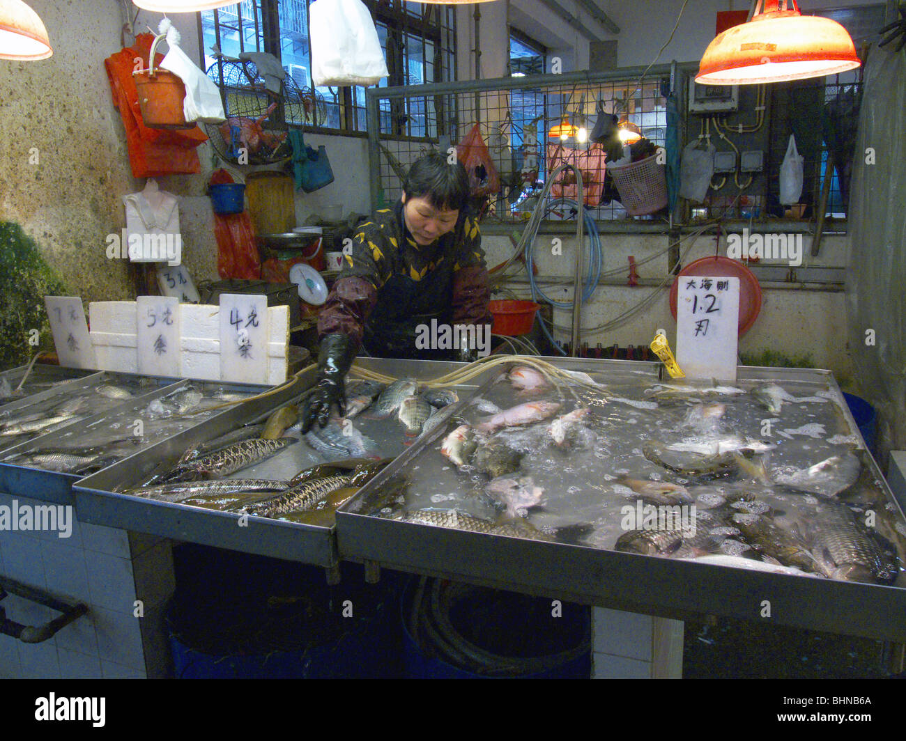CHINA Fishmonger in the market in Macau Photo by Julio Etchart Stock ...