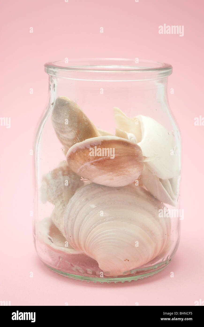 glass container with shells Stock Photo - Alamy