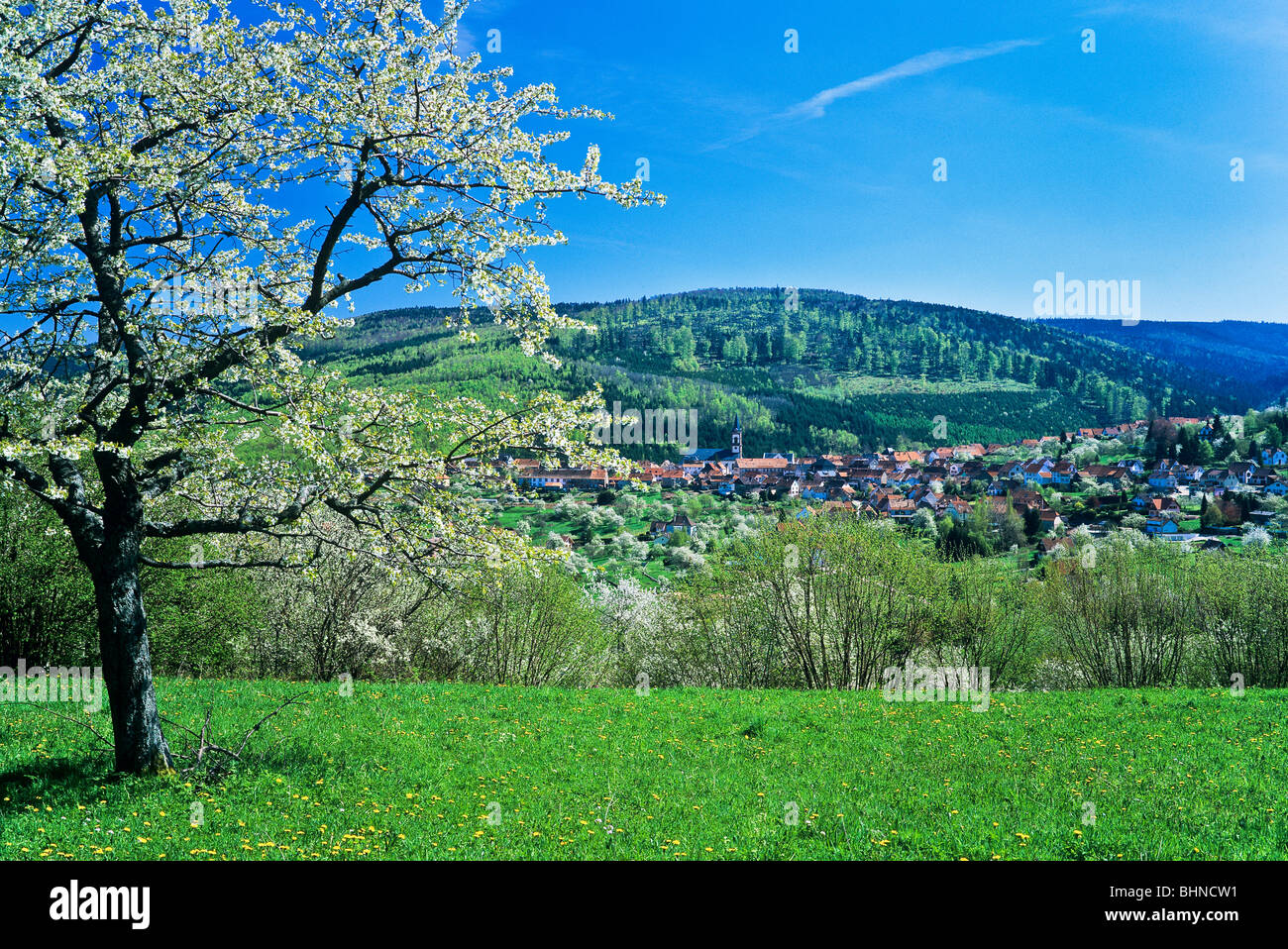Alsace villages holidays hi-res stock photography and images - Alamy
