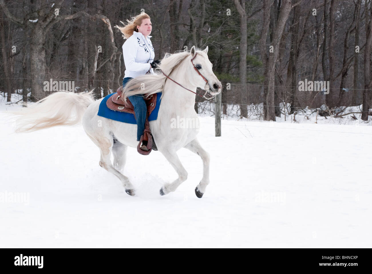 Woman horse riding canter hi-res stock photography and images - Alamy