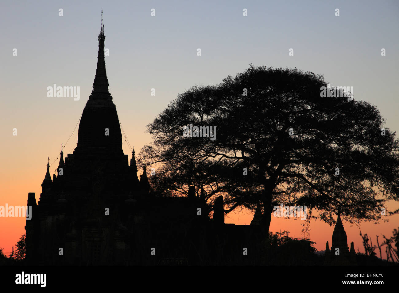 Myanmar tree hi-res stock photography and images - Alamy