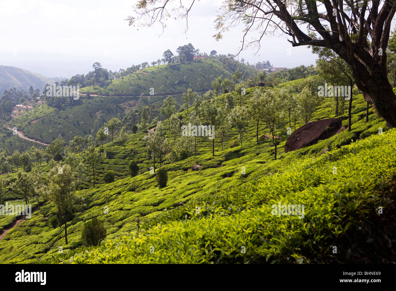 Kerala agriculture hi-res stock photography and images - Alamy