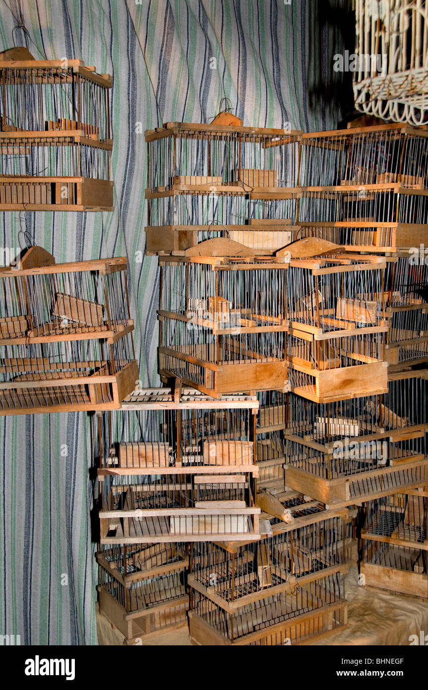 bird cage mixture of Arab Arabian Flea Bazaar Souk Food market Turkey ...