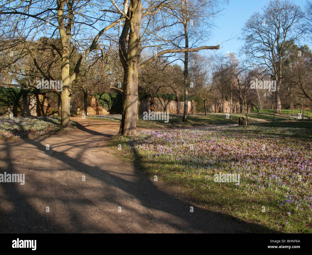 Cannizaro park wimbledon hi-res stock photography and images - Alamy