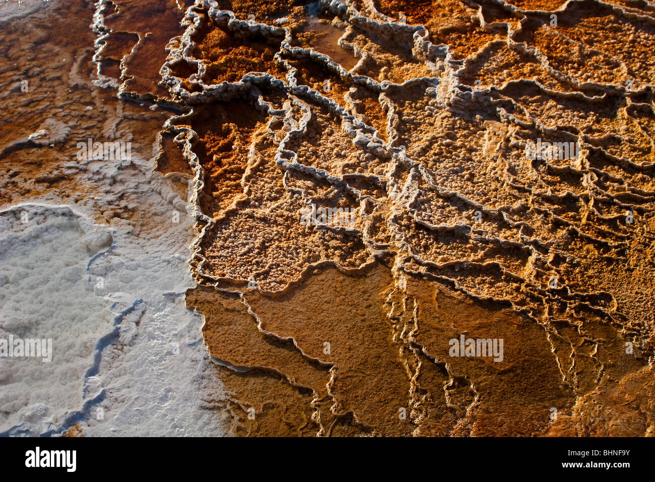 Lower Terraces - Mammoth Hot Springs - Yellowstone National Park Stock ...