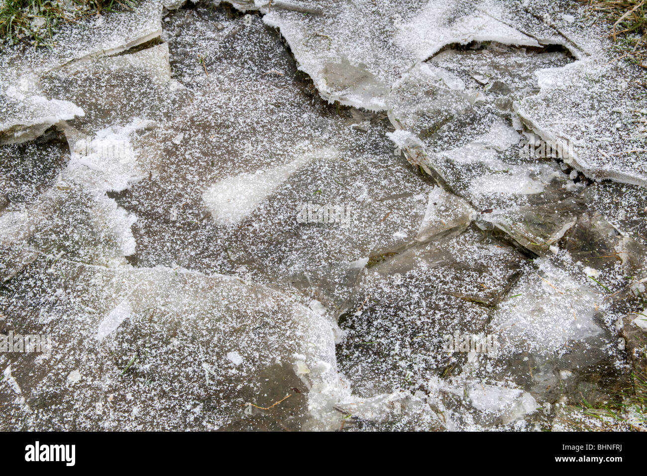Frozen puddle uk hi-res stock photography and images - Alamy