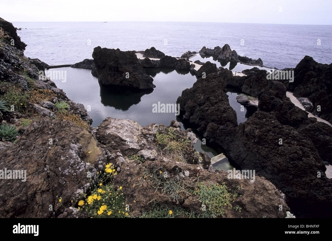 Lava Rock Swimming Pool