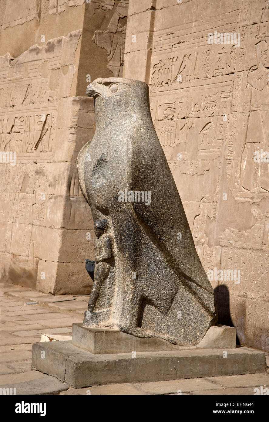 Horus as falcon hi-res stock photography and images - Alamy