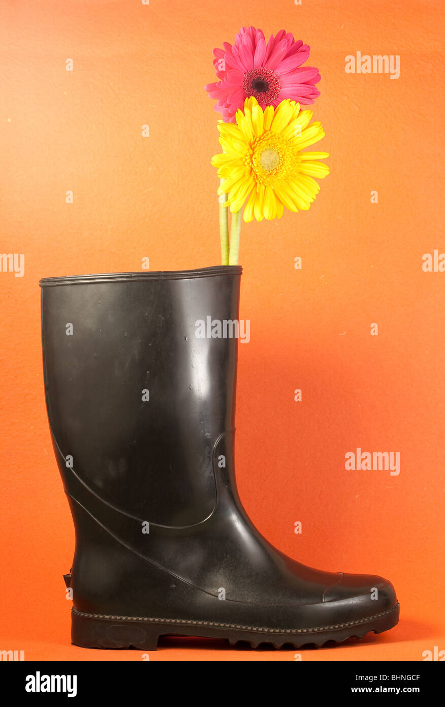 Boot macro hi-res stock photography and images - Alamy