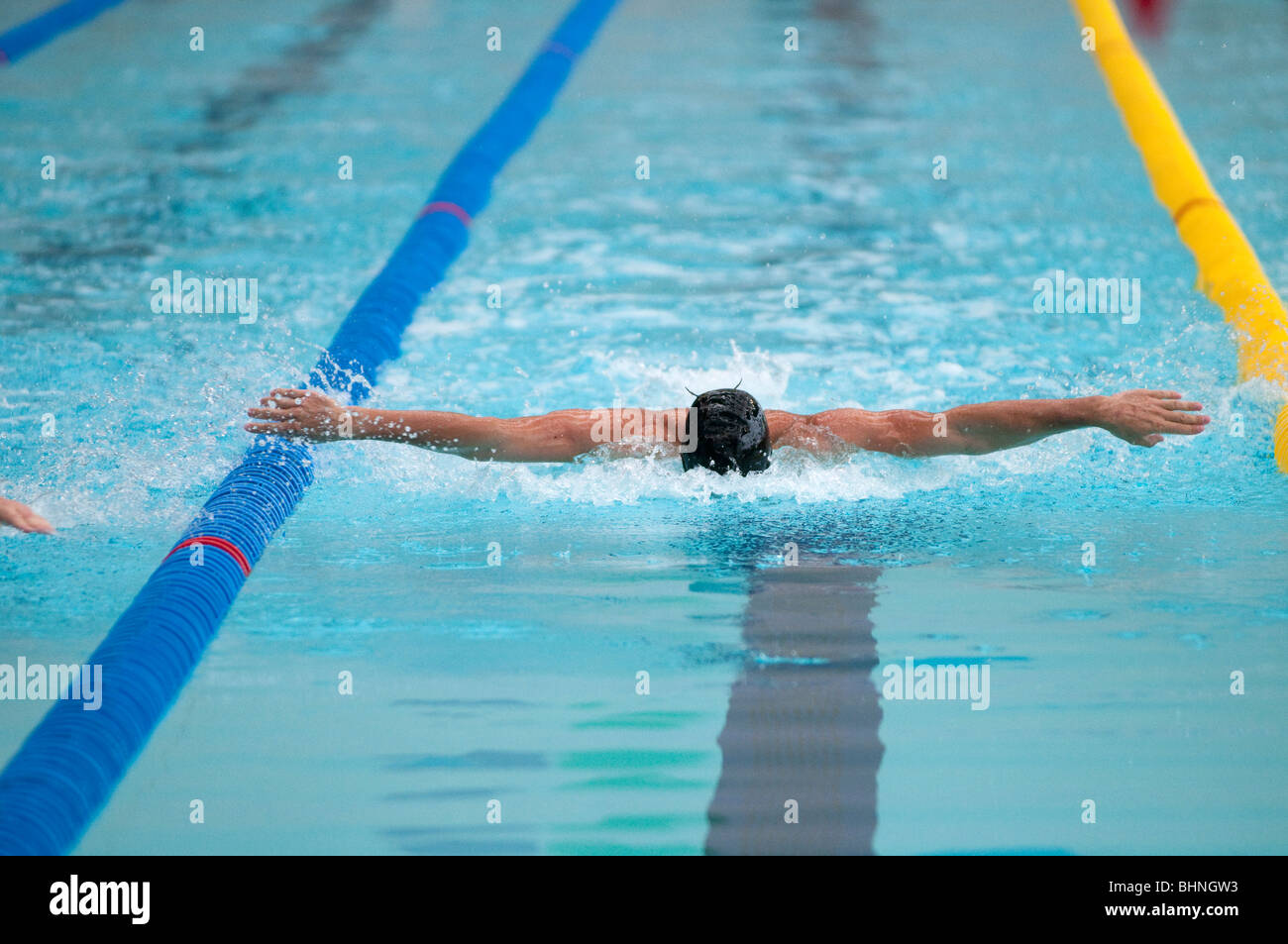 Swimmer doing butterfly stroke in swimming pool Stock Photo - Alamy