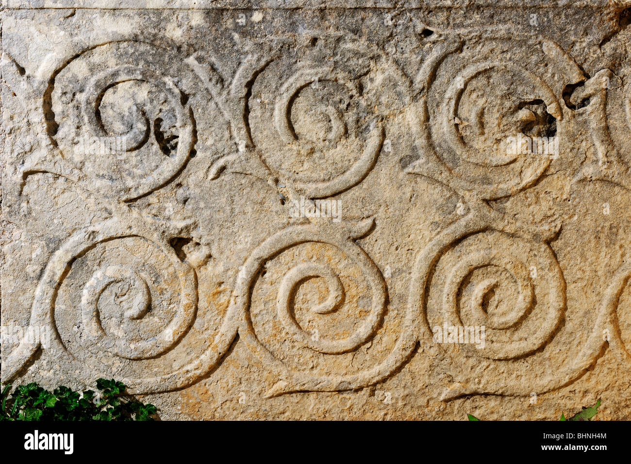 Prehistoric patterns hi-res stock photography and images - Alamy