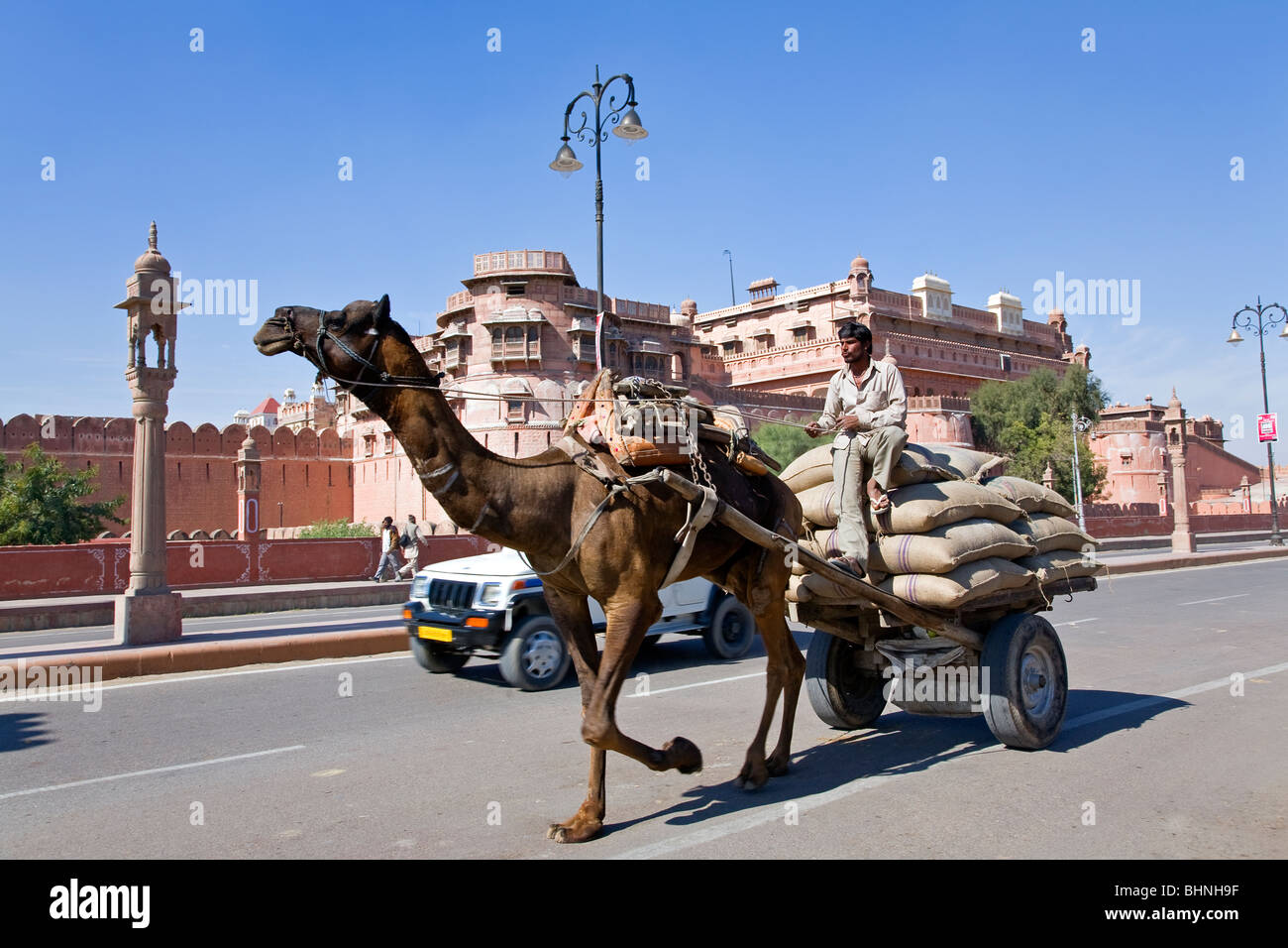 Riding camel cart hi-res stock photography and images - Alamy