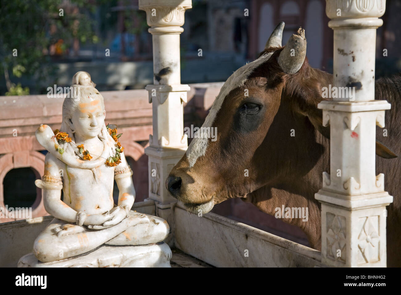 Holy cow statue hi-res stock photography and images - Alamy