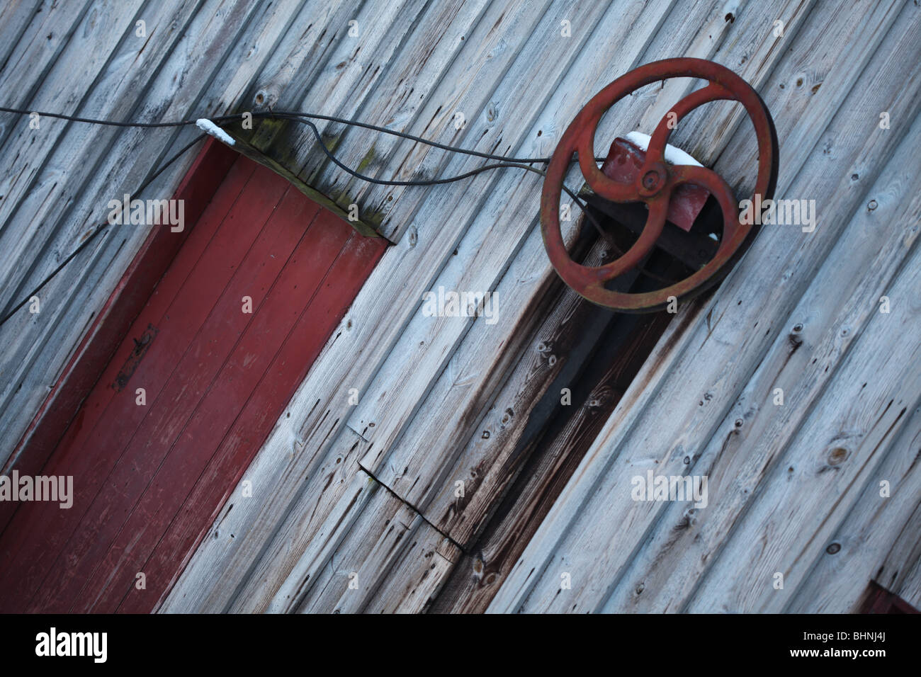 Forest of birse hi-res stock photography and images - Alamy